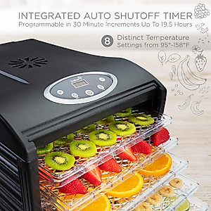 Ivation 6 Tray Countertop Digital Food Dehydrator Drying Machine 480w with Preset Temperature Settings, Auto Shutoff Timer and Even Heat Circulation for Beef Jerky, Fruits, Vegetables & Nuts