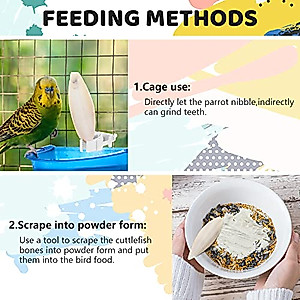 40 Pcs Cuddle Bone Cuttlefish Bone 3.0" to 3.5" Cuttlebone for Birds with 1 Parakeet Cuttlebone Holder Bird Cage Food Clip, Parakeet Toys Chew Toy for Birds Parrots Cockatiels Budgie Snails Reptiles