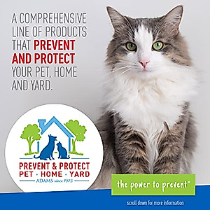 Adams Plus Flea & Tick Collar for Cats | Breakaway Collar | 2 Pack | 7 Months Protection | Kills & Repels Fleas, Flea Eggs, Flea Larvae and Kills Ticks, Nymphs, and Tick Larvae