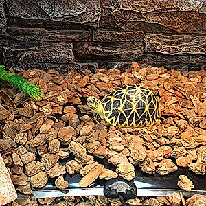 Hamiledyi 14W Reptile Heating Pad,Warmer with Temperature Adjustment Control Under Tank,Terrarium Heater Mat for Gecko,Turtle,Tortoise,Snakes,Lizard,11x11 in(2 Pcs)
