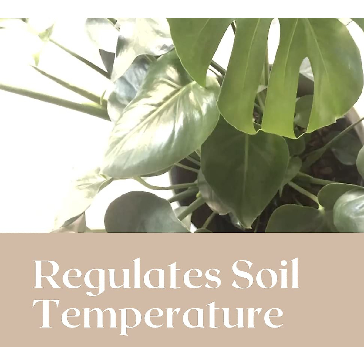 Urban Thumb & Co Ultra Fine Garden Plant Mulch - Top Cover for Indoor / Outdoor Potted House Plants - Compact Size, Potting Mix for Urban Plant Lovers- 3.25 Quarts