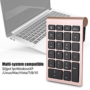 22 Keys Numeric Keypad, Number Pads BT Number Pad 22 Keys BT Number Pad for Laptop Pc Desktop Notebook (Rose Gold)