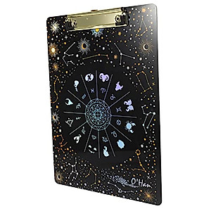 Ciieeo Plastic Folders 2pcs Convenient Document Profile Practical Holder Conference Nurse with Exam Paper Case Writing Storage Fashion Size Clipboard Portable Office Clip Pattern Plastic