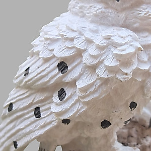 DUODEAN Solar Garden Lights, Cute White Owl Statues Waterproof Outdoor Decorations, Resin Animal Ornaments Gifts for Grandma Yard Lawn Pathway Flower Fence Art