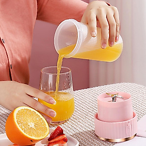 SH-RuiDu Portable Blender, 450ml Personal Size USB Rechargeable Mini Blender Fruit Juicer with 6 Strong Cutting Power Blades for Shakes and Smoothies, Portable Juicer for Home Office Travel Sports