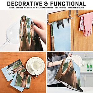 xigua Horse Kitchen Towels Set of 4, Soft Absorbent Drying Dishcloths Dish Towels with Hanging Loop for Kitchen Bathroom Bar Home Decor, 18 x 28 Inch