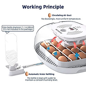 Egg Incubator, 16 Incubators for Hatching Eggs with Automatic Egg Turning, Egg Candler and Automatic Water Adding for Hatching Chickens, Ducks, Goose, Quails & 4 Wooden Eggs