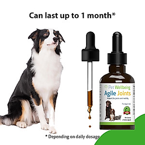 Pet Wellbeing Agile Joints for Dogs - Vet-Formulated - Joint Health, Mobility, Ease of Movement - Natural Herbal Supplement 2 oz (59 ml)