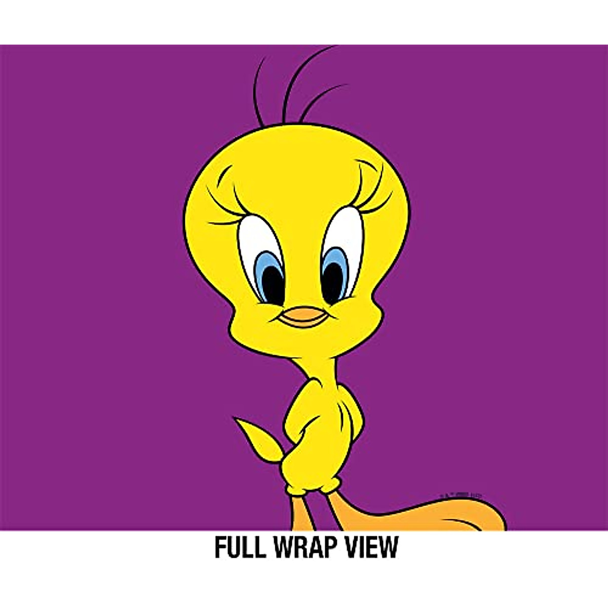 Looney Tunes OFFICIAL Tweety Bird Pose 24 oz Insulated Canteen Water Bottle, Leak Resistant, Vacuum Insulated Stainless Steel with Loop Cap, Black