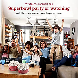 David's Cookies Gourmet Butter Pecan Meltaway with Crunchy Pecans and Powdered Sugar, All-Natural Ingredients, Kosher, Ideal Present for Special Occasions, 32 Fl Oz, Pack of 2