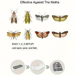 Pantry Moth Glue Traps (12 Packs) Pantry Moth Killer for House Pantry | Non-Toxic and Odorless for Food and Cupboard Moth | Super Strong Glue for Moth Catcher | Grey