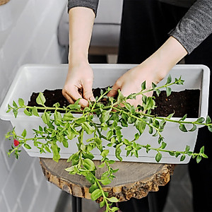 Whonline 8 Pack Window Planter Box, 17 Inches Plastic Window Boxes Rectangular Flower Vegetable Planters with Drainage Holes and Saucers for Indoor Plants Outdoor Garden Patio (Light Gray)