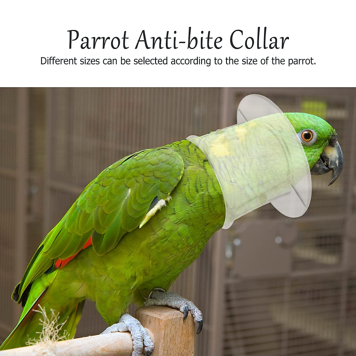 Parrot Neck Collar, Plastic -bite Collar Clear Bird Feather Protector Prevent Grab Lick Healing Safety Bird Cone Collar for Macaw Cockatoo Parrot Large
