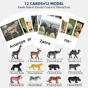 MEROCO Montessori Zoo Safari Animal Match - Miniature Figurines with 2 Part Matching Cards Montessori Language Materials Preschool Learning Toy NEWTT004