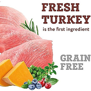 OPtimeal Grain Free Cat Food - Proudly Ukrainian - Healthy Cat Food Dry Recipe for Gut Health, Tasty Dry Cat Food with Immunity Support for Adult Cats (3.3 lbs, Turkey & Veggies)