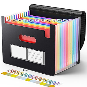 Sooez 13 Pocket Expanding File Folder, Premium Monthly Document Organizer, Accordian File Folder Organizer, Accordion Folder, Letter A4 Paper Document Storage Organizer, Black