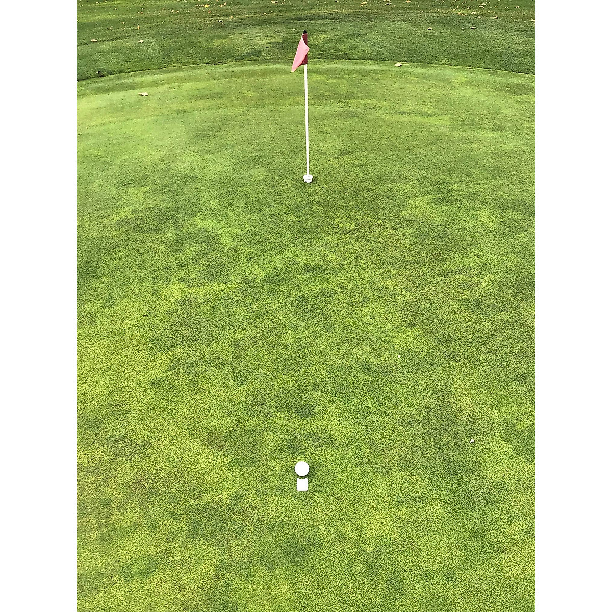 Golf Ball Marker (Triple Track) (Red and Blue, 2 Pack)