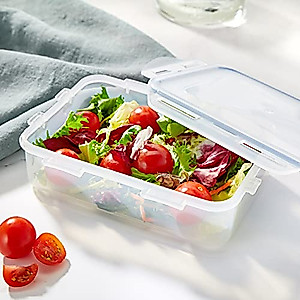 Lock&Lock 19-Fluid Ounce Rectangular Food Container, Short, 2.3-Cup