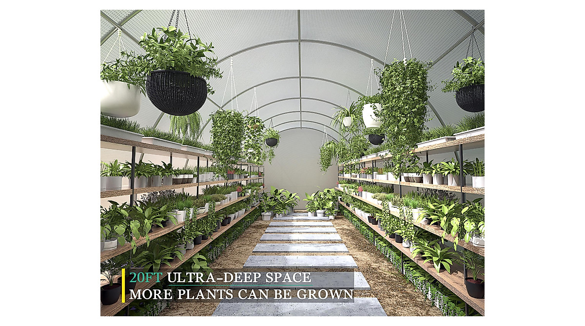 Buy Papababe 20x10x7.5 FT Large Walk-in Greenhouse Outdoor