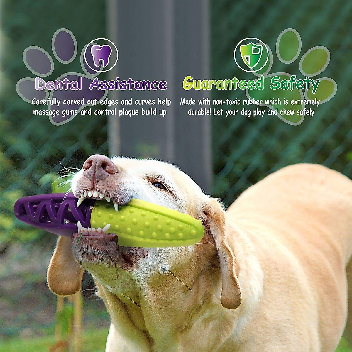Fluffy Paws – Stick-Shaped Dog Squeaky Toy for Small-Medium Puppy & Dogs | Dental Dog Treat Chew Toy Helps Massage Dogs Gums, Good for Aggressive Chewers | Green/Purple