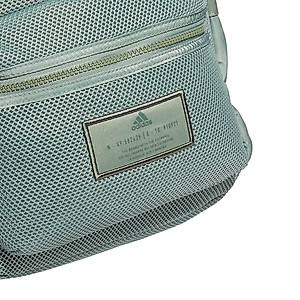 adidas Women's VFA 4 Backpack, Silver Green/Stone Wash Silver Green/Gilver, One Size