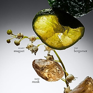 philosophy Amazing Grace Eau De Toilette, 4 Oz