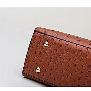 Patent Strap Shoulder Bags Ostrich Pattern Handbags 3pcs Hobos with Matching Wallet Tote Purse (Brown)