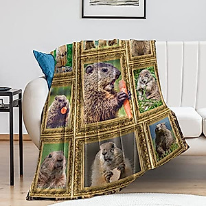 Groundhog Blanket Gifts, 50"x40" Happy Groundhog Day Throw Blanket, Soft Cozy Fleece Bed Blanket for Women Men, Gifts for Groundhog Lovers, Plush Throw Blanket for Couch Bedroom Sofa