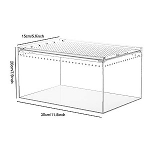REMASIKO Magnetic Acrylic Case, 12" x 8" x 6" Enclosure Flat Long Reptile Breeding Box Terrarium Cage for Scorpion Sling Isopods Lizards Invertebrates Insects Mantis