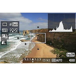 Canon EOS 60D 18 MP CMOS Digital SLR Camera with 18-135mm f/3.5-5.6 IS UD Lens - International Version