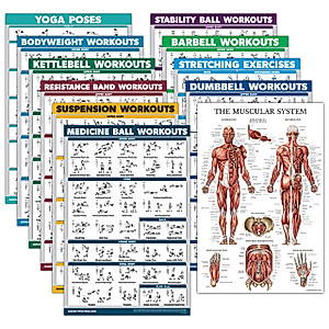 11 Pack - Exercise Poster Set: Dumbbell, Suspension, Kettlebell, Resistance Bands, Stretching, Bodyweight, Barbell, Yoga, Exercise Ball, Muscular System, Medicine Ball (LAMINATED, 18" x 24")