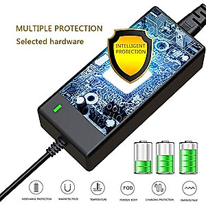 Demon 42V 2A Battery Charger Power Adapter for Bird,Lime,Lime-S, Skip, Spin, M365, Bird Charger,Lime Charger, Skip, Es4, Es3, Es2, Es1,Black