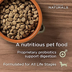 Diamond Skin & Coat Real Meat Recipe Dry Dog Food with Wild Caught Salmon 30 Pound (Pack of 1)