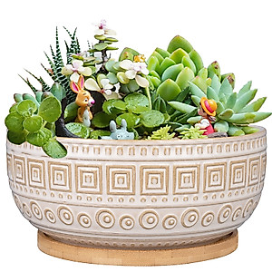 G EPGardening 8 Inch Ceramic Succulent Planter Pots for Indoor Plants Round Shallow Bonsai Planter Pot with Drainage and Bamboo Saucer White