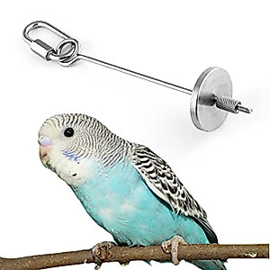 Bird Feeders DGHAOP Stainless Steel Bird Fruit Vegetable Holder Bird Food Holder for Parrots Cockatoo Cockatiel 4.72"