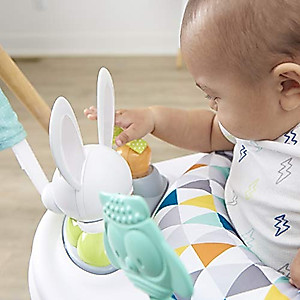 Evenflo Exersaucer Wood Frame Jumper, Woodland Wonder