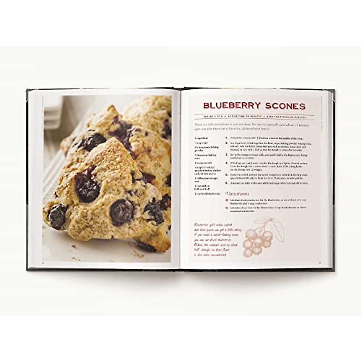 The Complete Cast Iron Cookbook: A Tantalizing Collection of Over 240 Recipes for Your Cast-Iron Cookware (Complete Cookbook Collection)