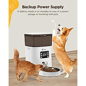 Ciays Automatic Cat Feeders, 4L Cat Food Dispenser Up to 20 Portions 6 Meals Per Day, Pet Dry Food Dispenser with Distribution Alarms for Small Medium Cats Dogs, White