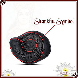 Vedic Vaani Sacred Varaha Lakshmi Laxmi Shankhu Shaligram Shila (Pack of 4)
