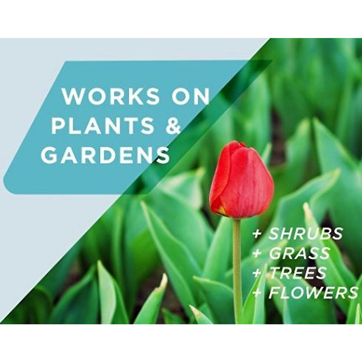 Epsom Salt 4 lbs. Magnesium Sulfate USP Multi-Purpose - Resealable bag