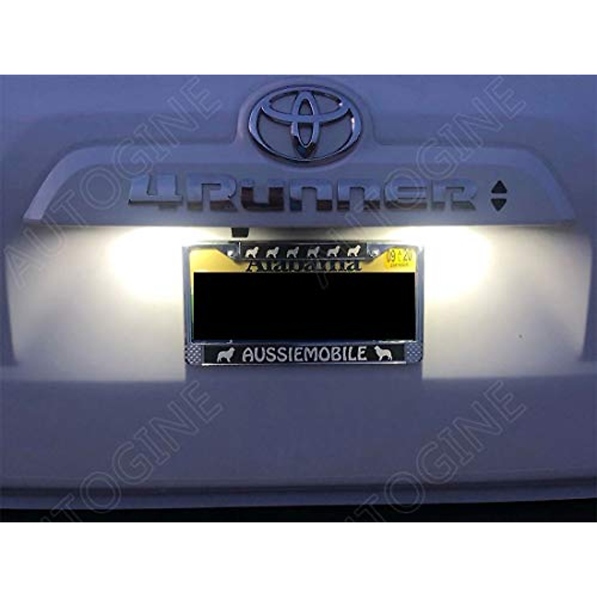 AUTOGINE White LED Interior Lights Kit for Toyota RAV4 2016 2017 2018 2019 2020 2021 Super Bright 6000K Interior LED Lights Bulbs Package + Install Tool