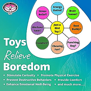 Super Bird Creations SB699 Activity Wall Bird Toy, Medium Bird Size, 12" x 14" x 3"