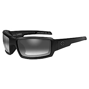 Harley-Davidson Mens Jumbo Light Adjusting Sunglasses, Smoke Gray Lenses HDJUM05