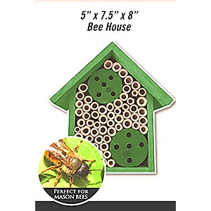 Rose Pink and Green Mason Bee House for The Garden Bundle - Lifetime Replacement Guarantee