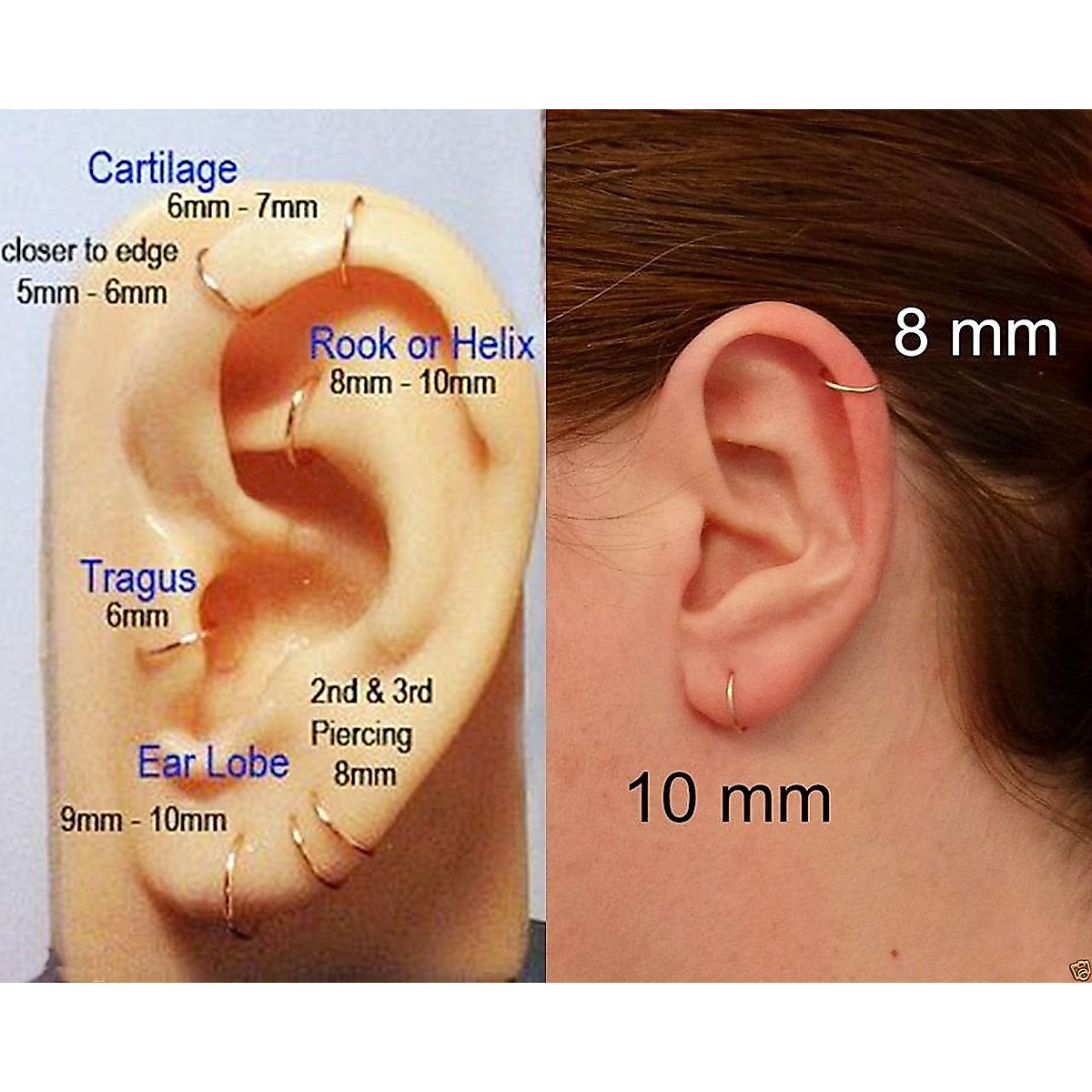 5Pcs Stainless Steel 16G Sleeper Earrings for Women Men Boys Septum Hinged Clicker Nose Lip Ring Helix Daith Cartilage Tragus Piercings Hypoallergenic Sensitive Ears Jewelry (8mm in silver-16G)