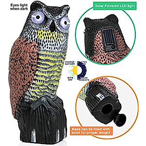 Galashield Owl Decoy | Plastic Owls to Scare Birds Away with Solar Powered LED Eyes | Owl Statue for Garden & Outdoors