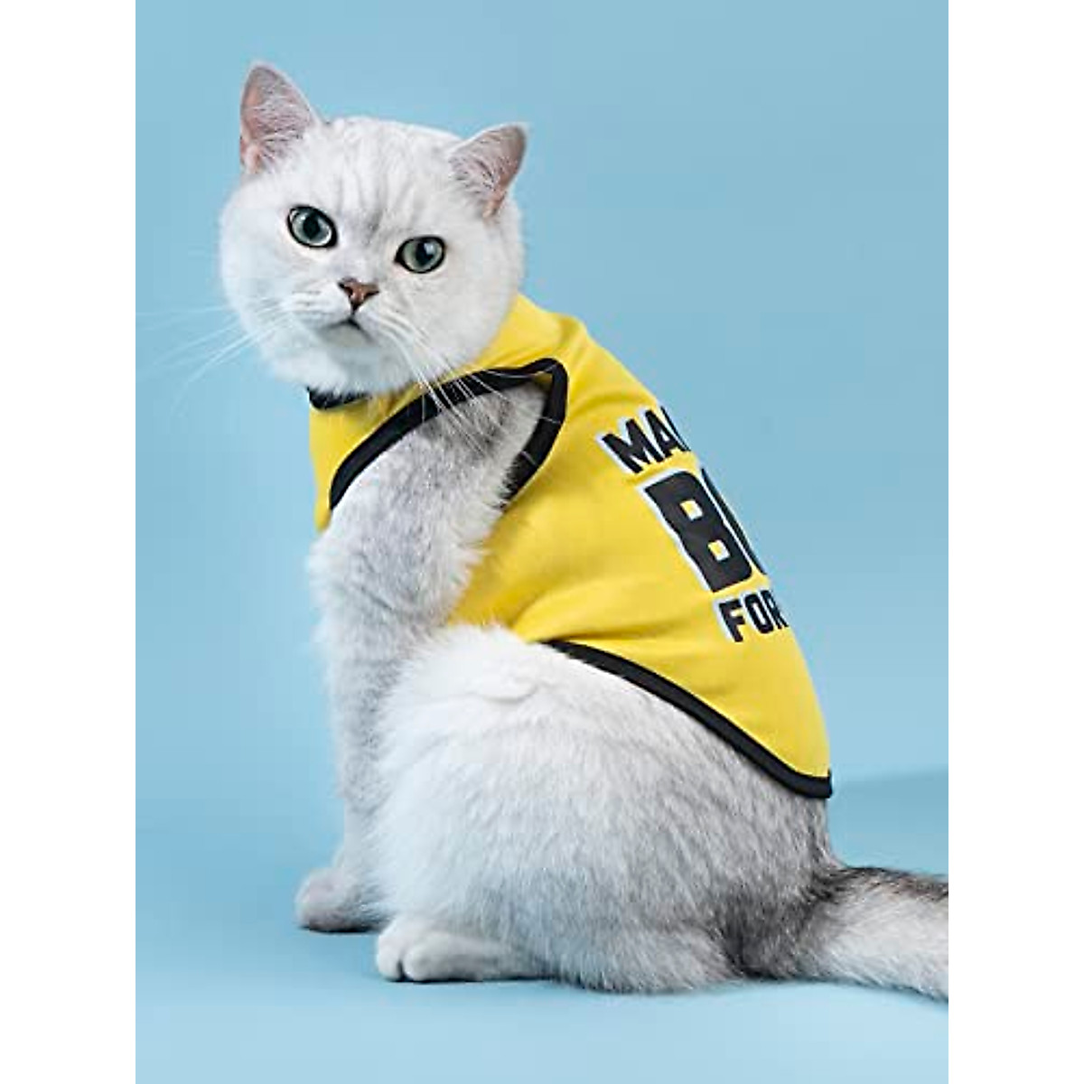 QWINEE Dog Shirts Mom Boy Pet T Shirts Tank for Dogs & Cats,Puppy Shirts,Breathable Letter Pet Clothes for Small Medium Dogs Cats Yellow A Medium