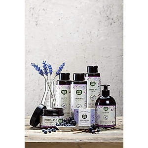 ecoLove - Natural Shampoo, Conditioner & Moisturizing Body Wash, With Organic Lavender Extract - No SLS or Parabens - Vegan and Cruelty-Free