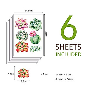 CozyDecor 36 Pcs Succulent Decals for Wall, Succulents Classroom Decorations for Teachers Bulletin Board,Succulent Theme Classroom Decor A655