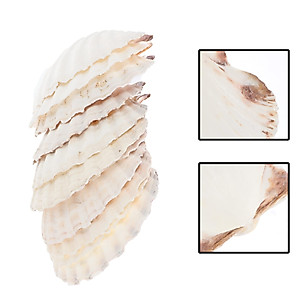 10 Pcs Natural Baking Sea Shells, 5 Inch Baking Shells, Scallop Shells for Serving Food (Random Color)